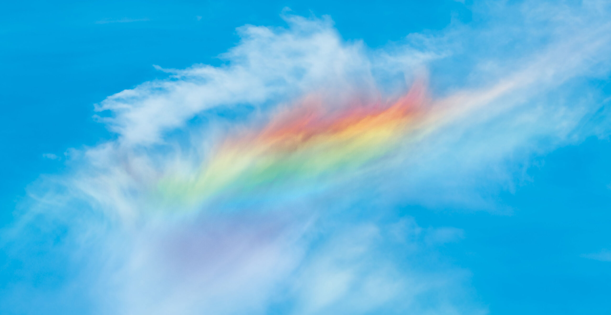 Fire Rainbow - Little Trees